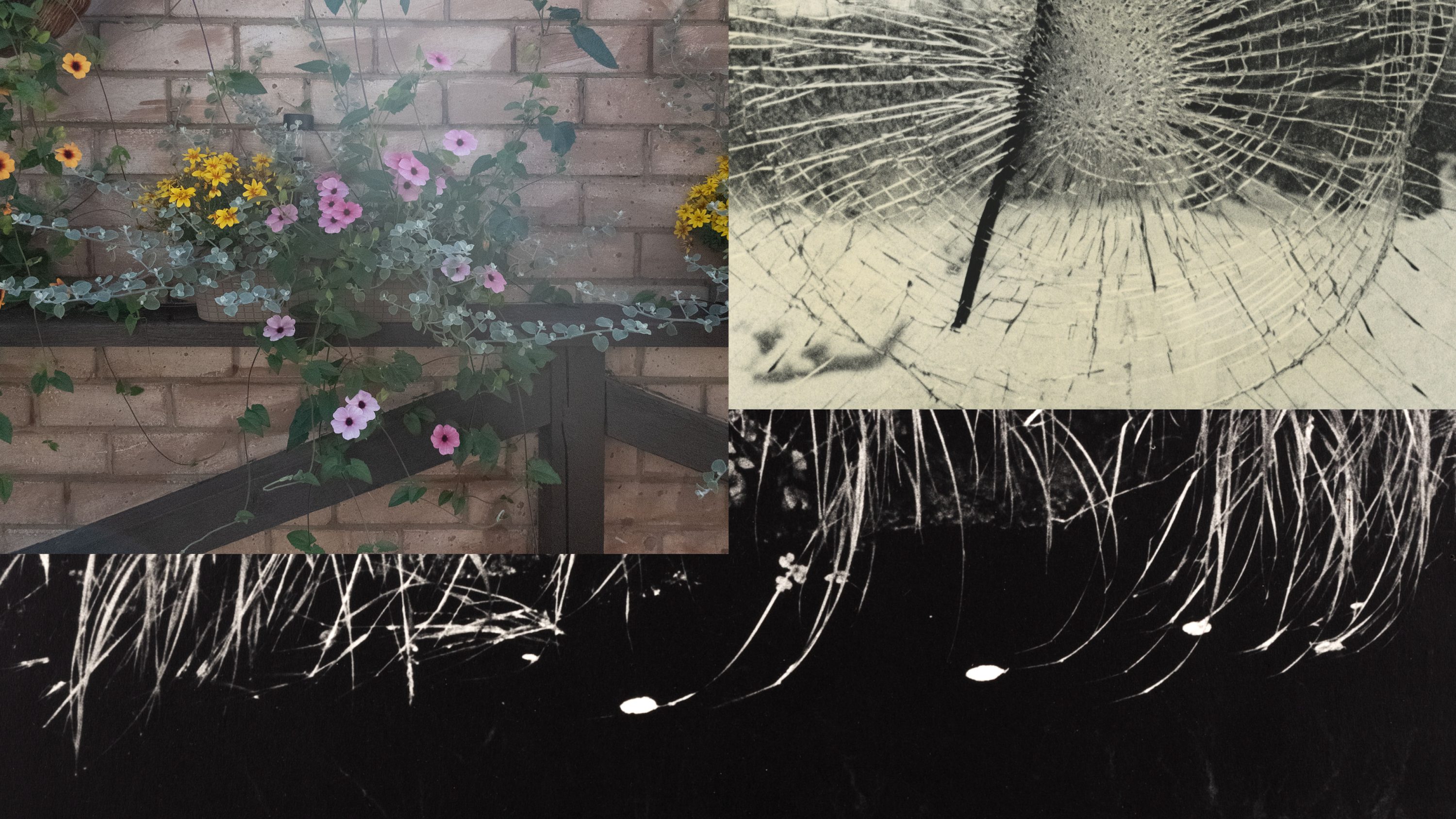 You, River. Hedi Jaansoo, Peeter Tooming and Endel Veliste - Art Museum ...