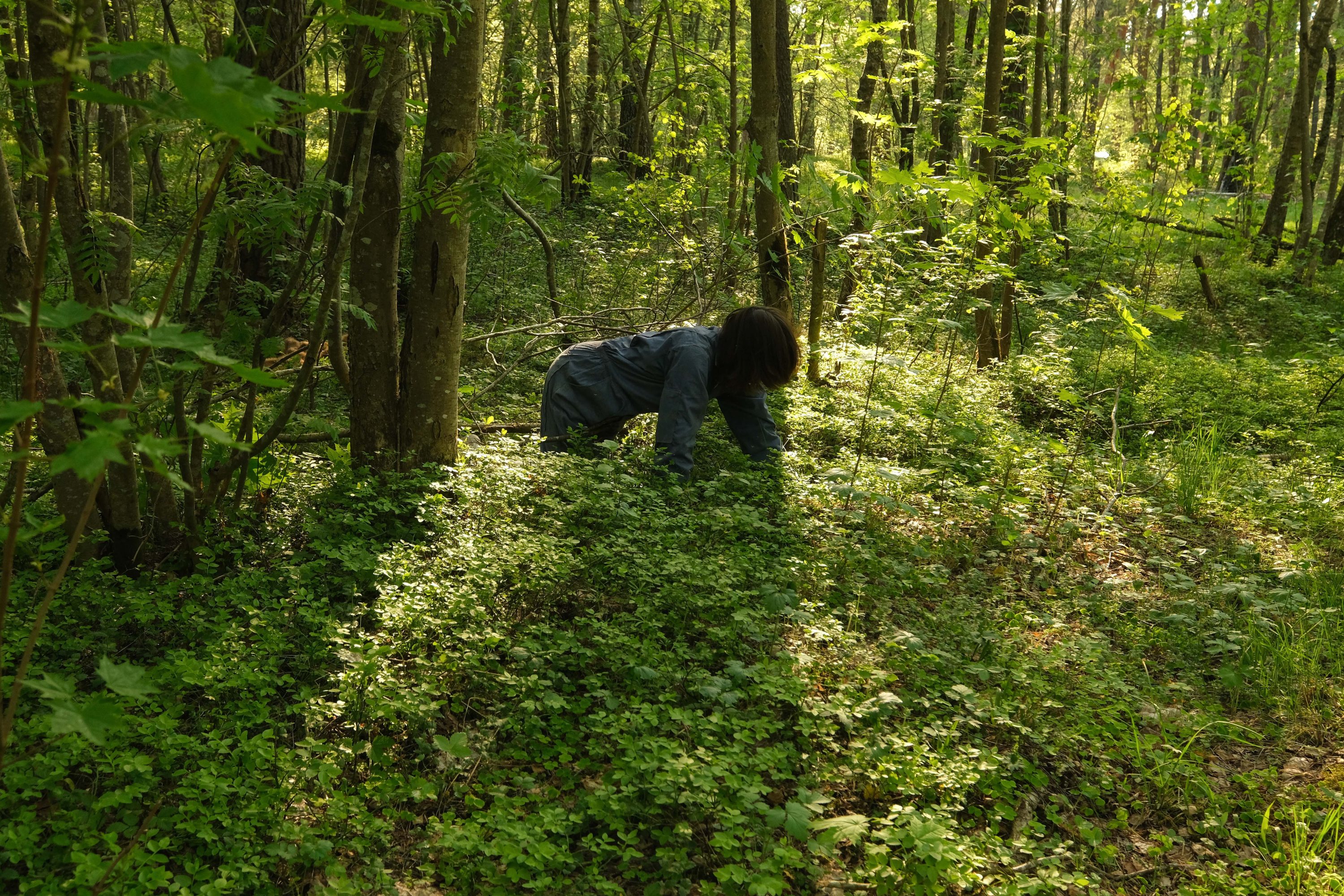 Ecosomatic tour: Bodying with places, faces and matters - Art Museum of ...