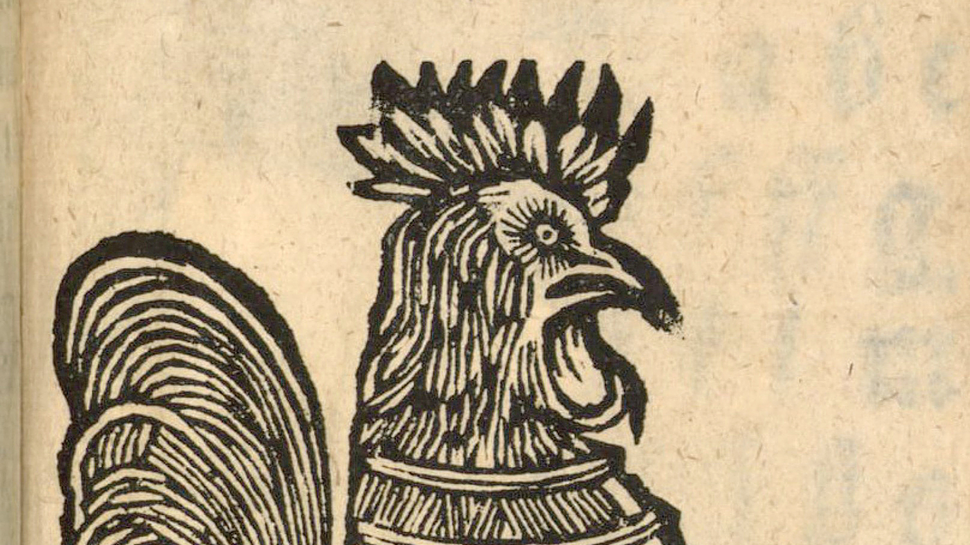 Õpetajate infopäev näitusel „Eesti raamat 500. Reliikviad“ - Eesti ...